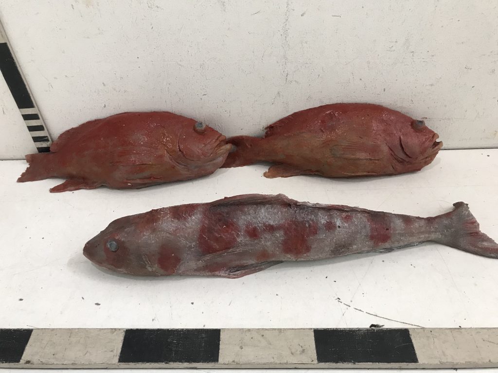 Medium Sized Fake Fish – PropCo