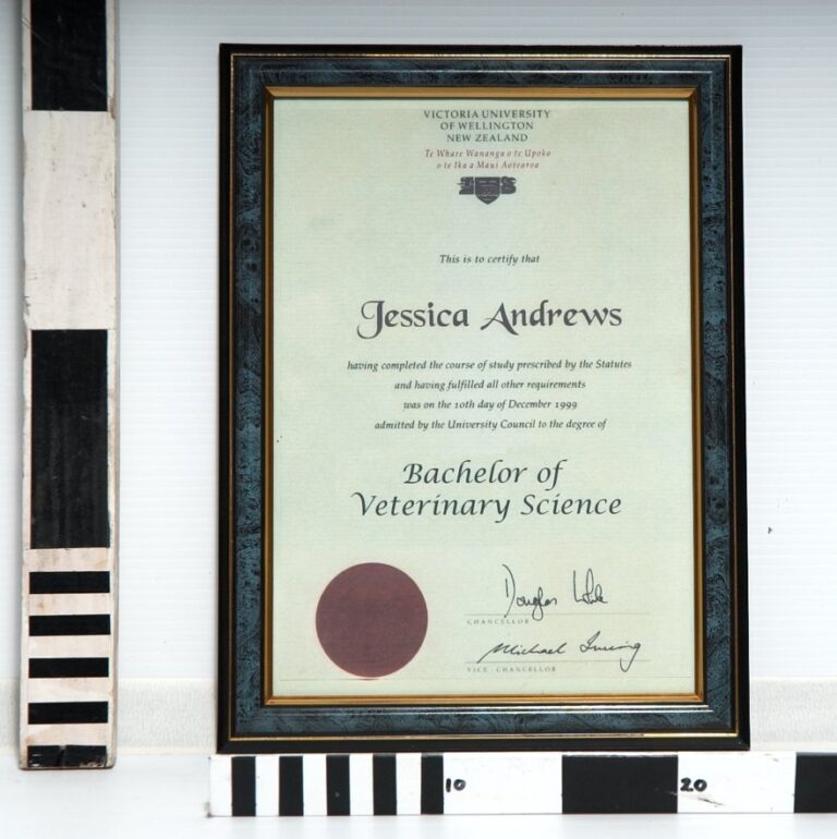 University degree – Certificate – GP of Medicine – PropCo